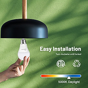 CFMASTER A19 LED Light Bulb, LED Bulbs 100 Watt Equivalent, 5000K Daylight Light Bulbs, 1500 Lumens, E26 Standard Base Lightbulb, Non-Dimmable 15W Bright White Bulbs for Home, ETL Listed(4-Pack)