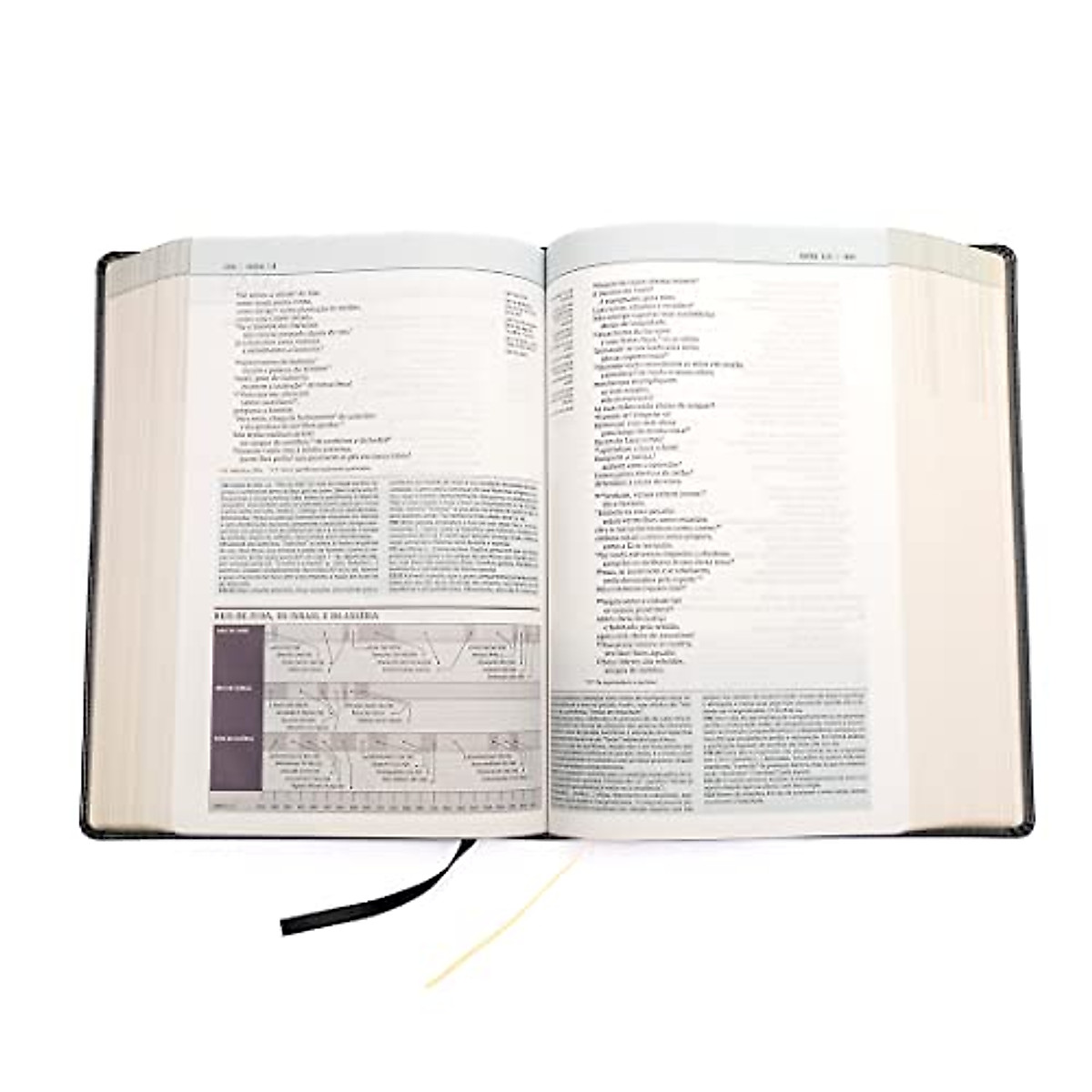 Bíblia De Estudo Thomas Nelson - Azul Encadernação de couro – 15 janeiro 2023…