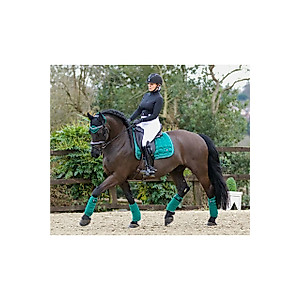 Woof Wear Vision Dressage Pad WS0006 - British Racing Green Size - Full