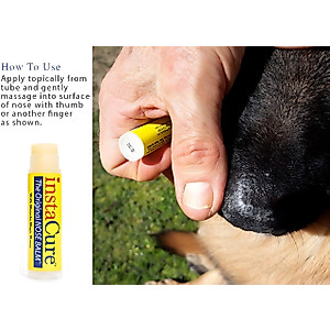 INSTACURE Original Nose Balm. Fast Relief for Cracked Dry & Sore Noses with Raw Manuka Honey Vitamin E Shea Butter Aloe Vera Oil. Heals Dog’s Dry Cracked Nose (1 Pack)