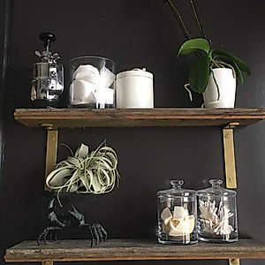 Shelf Brackets L Bracket 12 Inch 4PCS Heavy Duty Black Shelf Bracket Iron Metal Wall Bracket for DIY Open Shelving Rustic Bracket