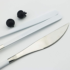 JASHII 20-Piece SUS304 Stainless Steel Silverware Set Luxury Flatware Cutlery Set Mirror Polished Service for 4 Include Knife Fork Spoon Dishwasher Safe (White silver)