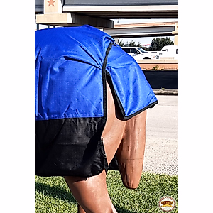 Royal Blue 72 in HILASON 600D Winter Waterproof Poly Horse Blanket Belly Wrap | Horse Blanket | Horse Turnout Blanket | Horse Blankets for Winter | Waterproof Turnout Blankets for Horses | Blankets