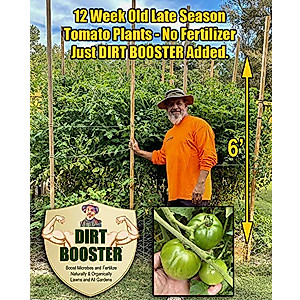 Dirt Booster Plus All-Natural Super Compost Starter and Soil Amendment - 20 lb.