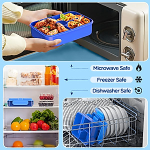 DaCool Insulated Food Jar Food ThermosVacuum Insulated Stainless Steel 16 oz + Bento Box Kids Lunch Box 7.5 Cups with 4-Compartment Leakproof BPA Free