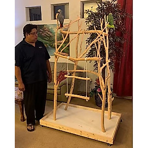 ExoticDad Large Bird Perch - Customize Your Perch Designed Natural Dragonwood Bird Perch on Wheels Stand for Parrots, Birds, Parakeets, Monkeys, Cockatiel, African Grey, Conure (2x4 ft B - 5x6 ft H)