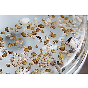 U/V Style Bidet Toilet Seat,Unplugged Intelligent Toilet Lid Spray Fresh Mechanical Nozzle Resin Transparent Design Shell Toilet Seats (CQ-5835)