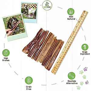 Nature Gnaws Mixed Bully Sticks for Small Dogs - Premium Natural Tasty Beef Bones - Simple Long Lasting Dog Chew Treats - Rawhide Free - 6 Inch