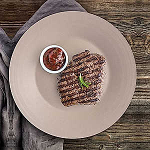 greenandlife 10inch/6pcs Dishwasher & Microwave Safe Wheat Straw Plates - Lightweight Reusable Unbreakable Dinner Plates, Non-toxin, BPA Free and Healthy for Kids Children Toddler & Adult