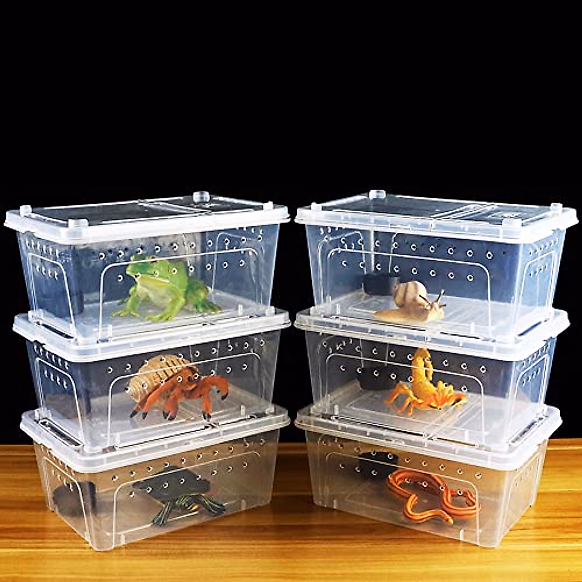 2 Pieces Reptile Transport Container Box Plastic Reptile Tubs Reptile Terrarium Snake Breeding Feeding Box Insect Tarantula Enclosure Tank Snail Spider Habitat Cage Mini Critter Keeper