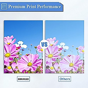 SHUOLEI T522 522 Compatible Ink Refill Bottles T522 522 Ink Bottle Refill Combo Work with EcoTank ET-2720 ET-2800 ET-2803 ET-4800 ET-4700 Printer (5 Packs, 2BK/C/M/Y)