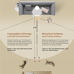 ROSAUI Cat Teaser Wand Toys, Interactive Bird Toys for Indoor Kittens, 43’’ Long cat Fishing Pole Toys, 2pcs Wires and 5pcs Natural Refills, Sustainable Wooden Handles, Exercising, Playing