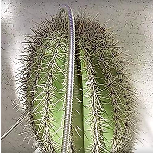 BEAULIFE Metal Short Garden Hose 3ft Connectors, Drainage Hose for Dehumidifier Small Water Hose Extension High Pressure Bib Reel Extender, Drinking Water Hose for RV Outdoor