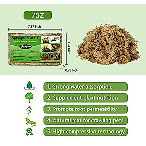 Stingmon 25QT Sphagnum Moss for Plants, Orchid Moss for Potted Plants Peat Moss, Dried Sphagnum Moss for Orchids Reptiles Potting Mix Soil Ochid Soil (7oz 200g)