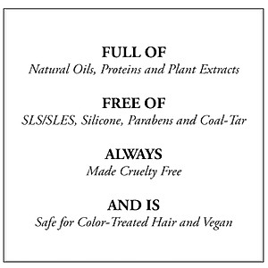 Leonor Greyl Balancing Shampoo for Oily Hair | Bain TS Organic Purifying & Nourishing Shampoo for Oily Scalp Dry Ends | Oily Hair Shampoo for Cleansing Scalp and Moisturizing Dry Ends | 7 fl oz