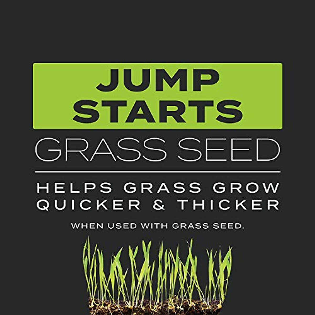 Scotts Turf Builder Triple Action Built For Seeding: Covers 4,000 sq. ft., Feeds New Grass, Lawn Weed Control, Prevents Crabgrass & Dandelions, 17.2 lbs.