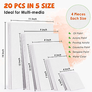 Canvases for Painting, Painting Supplies with 20 Cotton Canvas Panels, 4x4, 5x7, 8x10, 9x12, 11x14 inches (4 of Each), with 24 Acrylic Paints, 10 Brushes, Painting Canvas Set for Multimedia