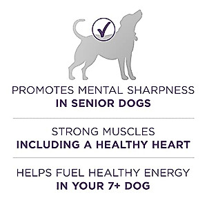 Purina ONE High Protein Dry Senior Dog Food Plus Vibrant Maturity Adult 7 Plus Formula - 31.1 lb. Bag