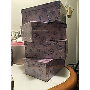 Pioneer BDC-1 Photo, CD & DVD Storage Box, Printed Designs (may vary)