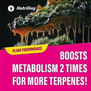 Terpenes Enhancer - Hydroponic Nutrients for Big Bud and Bud Candy Taste. Use as Soil Flower Food and Hydroponic Plant Food - Sugar baby 0-1-1 Bloom Booster Terpinator by Nutriling 32OZ