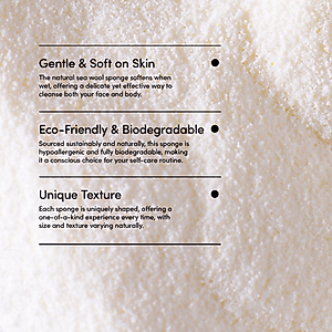 LATHER - Natural Sea Wool Sponge, 5-6" - Organic Exfoliating Body Scrubber - Soft, Gentle Cleansing - Hypoallergenic - All Skin Types - Florida Natural Loofah Sponge - Cruelty Free - Beauty & Skincare
