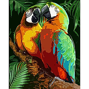 Tucocoo Colorful Parrot Paint by Numbers Kits 16x20inch Canvas DIY Gift Oil Painting for Kids, Students, Adults Beginner with Brushes and Acrylic Pigment-Wildlife Birds Animal Picture(Without Frame)