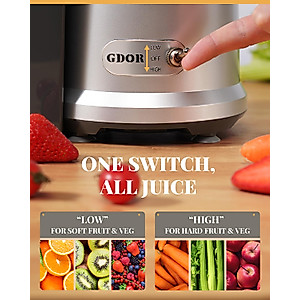 GDOR Powerful 1200W Juicer with Larger 3.2" Feed Chute, Titanium Enhanced Cutting System, Centrifugal Juice Extractor Maker with Heavy Duty Full Copper Motor, Dual Speeds, BPA-Free, Silver