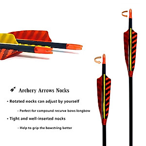 Hosolee 12 Pack Archery 500 Spine Carbon Arrows with Real Feathers and Removable Tips for Targeting Hunting Practice