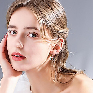 Cat Book Earrings for Women Acrylic Clear Dog Bookcase Earrings Rainbow Teacher Earrings Book Drop Dangle Earrings Graduation Teachers Day Jewelry Gifts (Cat)