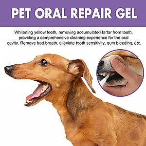 Pet Oral Repair Gel,Pet Oral Restoration Whitening Gel,Pet Oral Restorative Gel, Pet Teeth Cleaning Pen, Eliminate Bad Breath, Pet Teeth Breath Freshener Gel Oral Care (2)