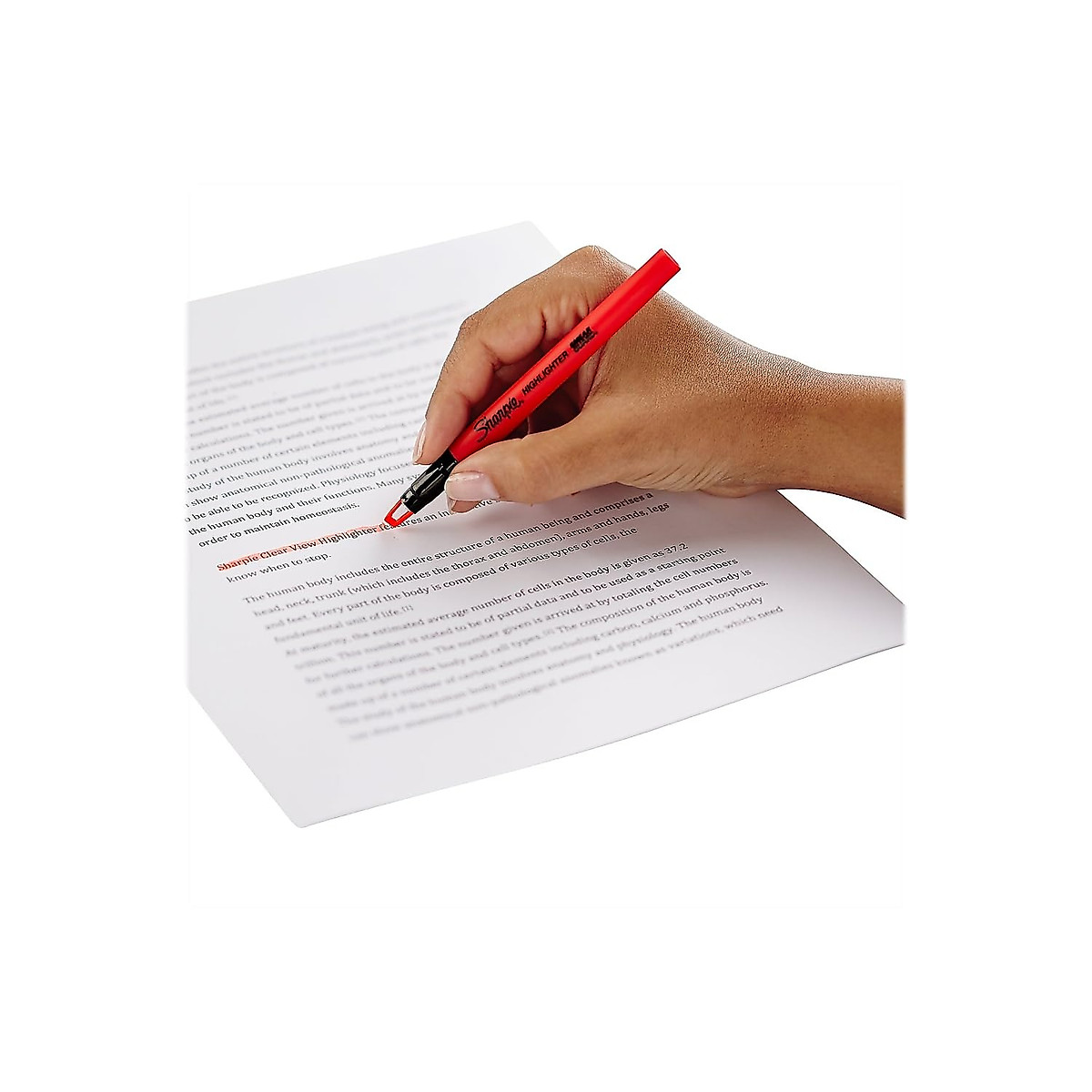 SHARPIE Highlighter, Clear View Highlighter with See-Through Chisel Tip, Stick Highlighter, Assorted, 8 Count