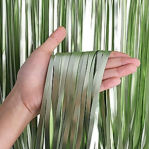 2 Pack 3.3 ft x 9.8 ft Foil Curtains Metallic Fringe Curtains Shimmer Curtain Photo Backdrop for Halloween Christmas Birthday Party Wedding Deco (Pale Green)