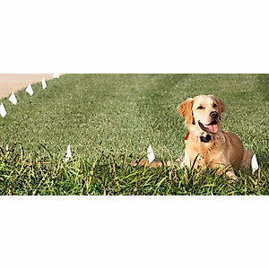 Extreme Dog Fence Electric Dog Fence Boundary Flags - Visual Aid During Underground Dog Fence Training - 50 Flags…
