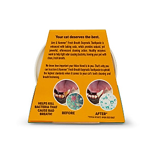 Arm & Hammer Dip & Brush Fresh Breath Enzymatic Toothpaste Kit for Cats and Kittens with 2 Microfiber Finger Bushes, 2.5 Ounces, Tuna Flavor | Cat Dental Care Kit