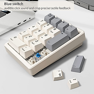 Kisnt Mechanical Number Pad,Hot Swappable Numpad Wired USB 17 Keys Keypad White Backlit Numeric Keypad with PBT Keycaps for Laptop PC Compact Keyboards(Retro Beige, Blue Switch)