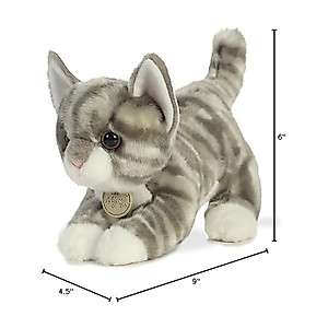 Aurora - Miyoni - 9" Grey Tabby Kitten