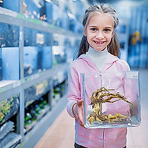 Bonsai Driftwood Aquarium Tree LSX Random Pick (4in Height) Natural, Handcrafted Fish Tank Decoration | Easy to Install