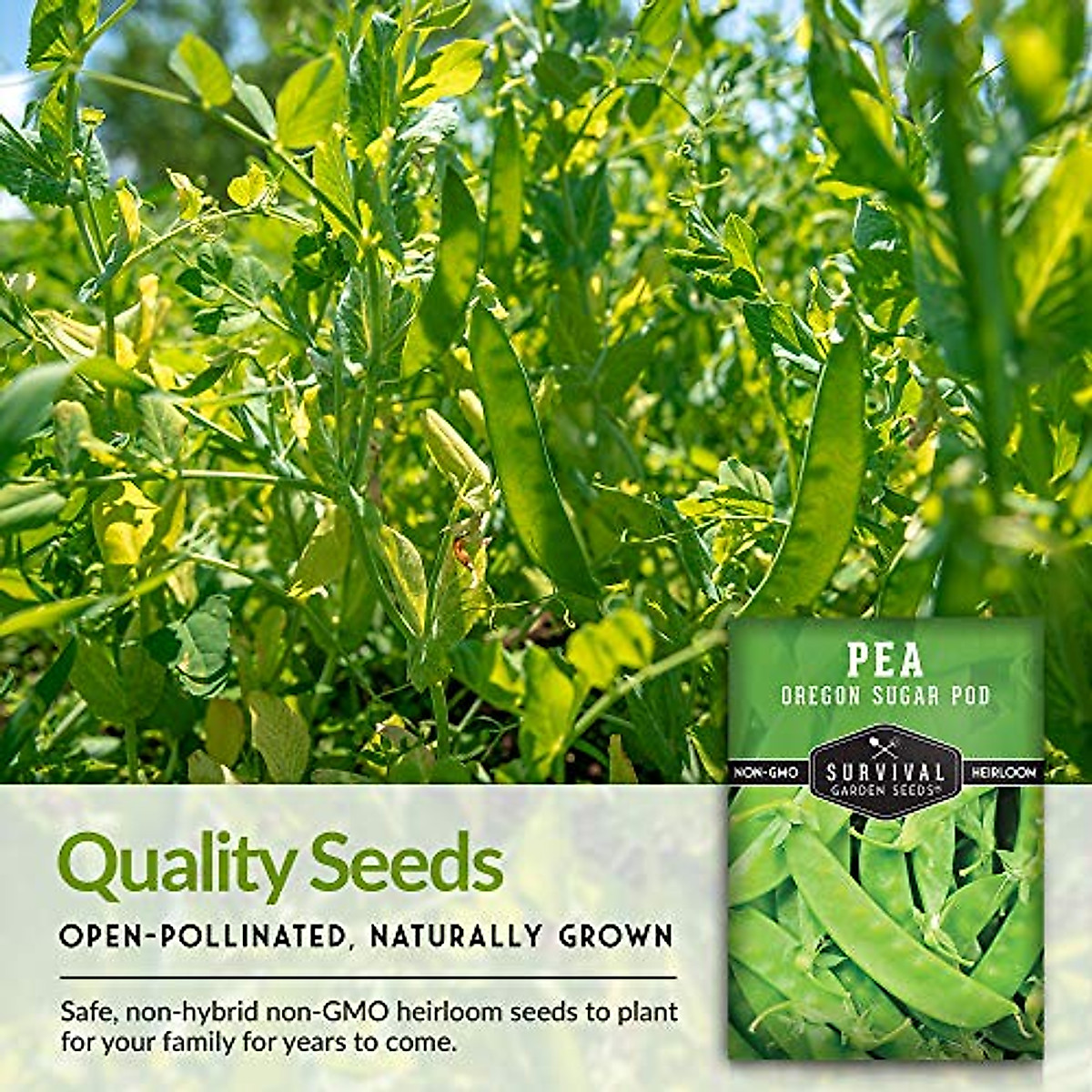 Survival Garden Seeds -Oregon Sugar Pod II Pea Seed for Planting - Packet with Instructions to Plant and Grow Delicious Snow Peas in Your Home Vegetable Garden - Non-GMO Heirloom Variety
