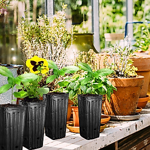 RunNico 50pcs Plastic Deep Plant Nursery Pots,12.2”Tall Tree Pots,Black Deep Seedling Container Pots with Drainage Holes for Indoor Outdoor Gardening (4.72" Wx12.2 H)