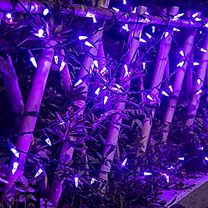 200 LED Purple Halloween String Lights,66ft Fairy Lights Plug in, 8 Modes Connectable Green Wire LED String Lights for Indoor, Outdoor, Halloween, Holiday, Wedding, Party, Christmas Decorations