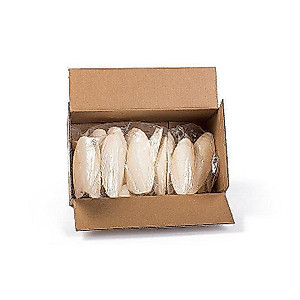 Cuttlebones Large, 25-pk