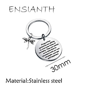 ENSIANTH Dragonfly Keychain Dragonfly Lover Gift Inspiration Gift for Friend Encouragement Gift (Dragonflies Symbolize)
