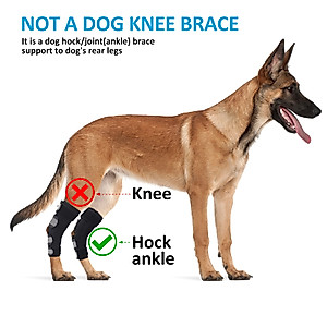 Bawektrl Dog Leg Braces for Back Legs,ACL Brace for Large Dogs Rear Legs, Joint Compression Warps Support for Hind Leg with Injury Sprain, Wound Care and Loss of Stability from Arthritis (1 Pair)
