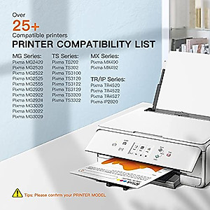 E-Z Ink (TM) Ink Cartridge Replacement for Canon 245XL PG-245XL PG245XL PG-243 Compatible with Pixma TS3120 MG2520 MX492 TR4520 TS202 MG2525 MG3022 MG2522 MG2922 (2 Black)