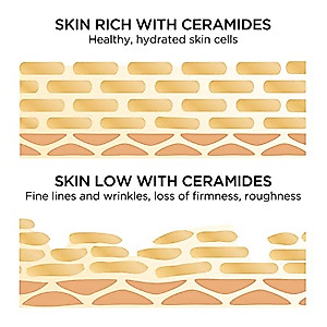 Elizabeth Arden Daily Ceramide Serum Capsules, Advanced Anti-Aging Serum Capsules for Minimizing Wrinkles, Fragrance-Free, Enhances Skin Hydration and Radiance for a Youthful Look, 90 Count, 1.41 oz