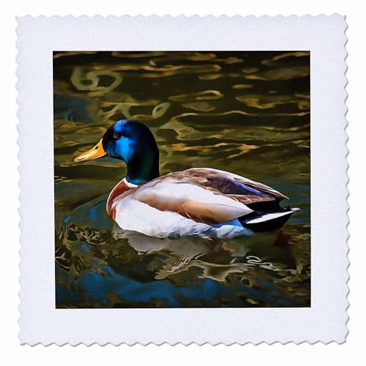 3dRose Mallard Duck Artistic Portrait - Quilt Squares (qs-378421-9)