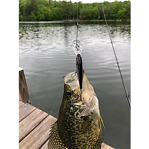 Valley Tieless Fishing EZ Clasp, Quick Lure Change Device, Part of EZ Accessories Kit