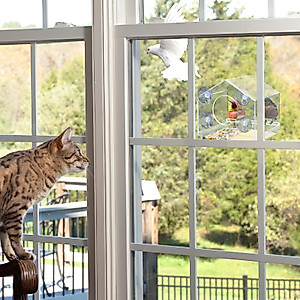 XTKS Bird Feeder, Hanging Bird Seed Feeder, Bird Feeding Station Outdoor Window Bird Feeder with Ultra-Strong Suction Cups - Perfect for Attracting Cardinals, Finches, Chickadees