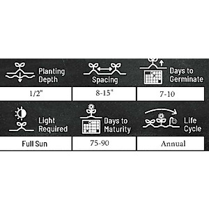 Zinnia Seeds for Planting – Non-GMO Heirloom Zinnia Flower Seeds – Full Instruction Packets to Plant in Your Home Outdoor Garden – Gardening Gift – 50 California Giant Zinnia Seeds (1 Packet)