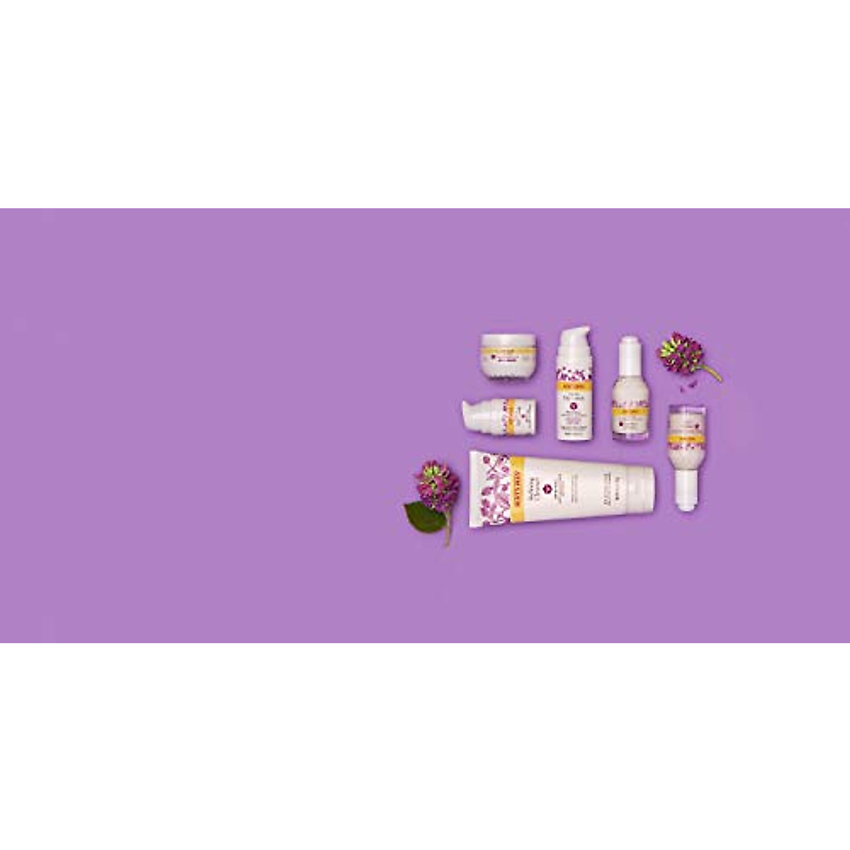 Burt's Bees Sunscreen Moisturizer for Face, SPF 30 Retinol Alternative Facial Lotion for Anti-Aging Skincare & Daytime Protection,1.8 Ounce (Packaging May Vary)